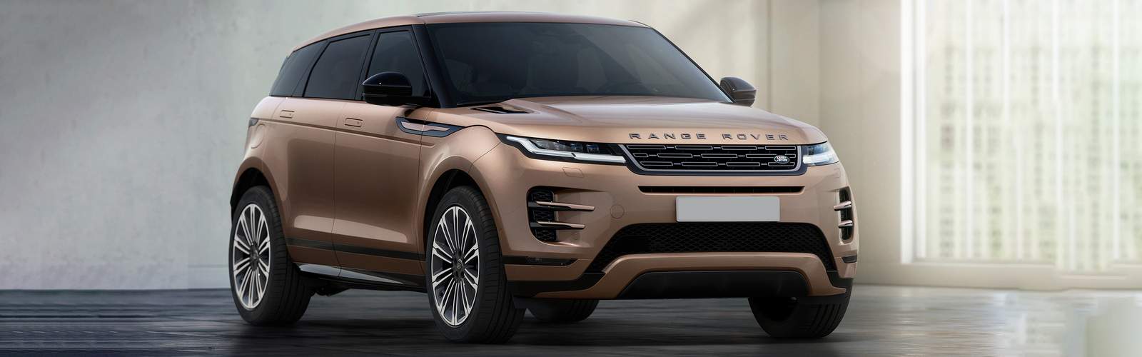 Mild hybrid evoque store