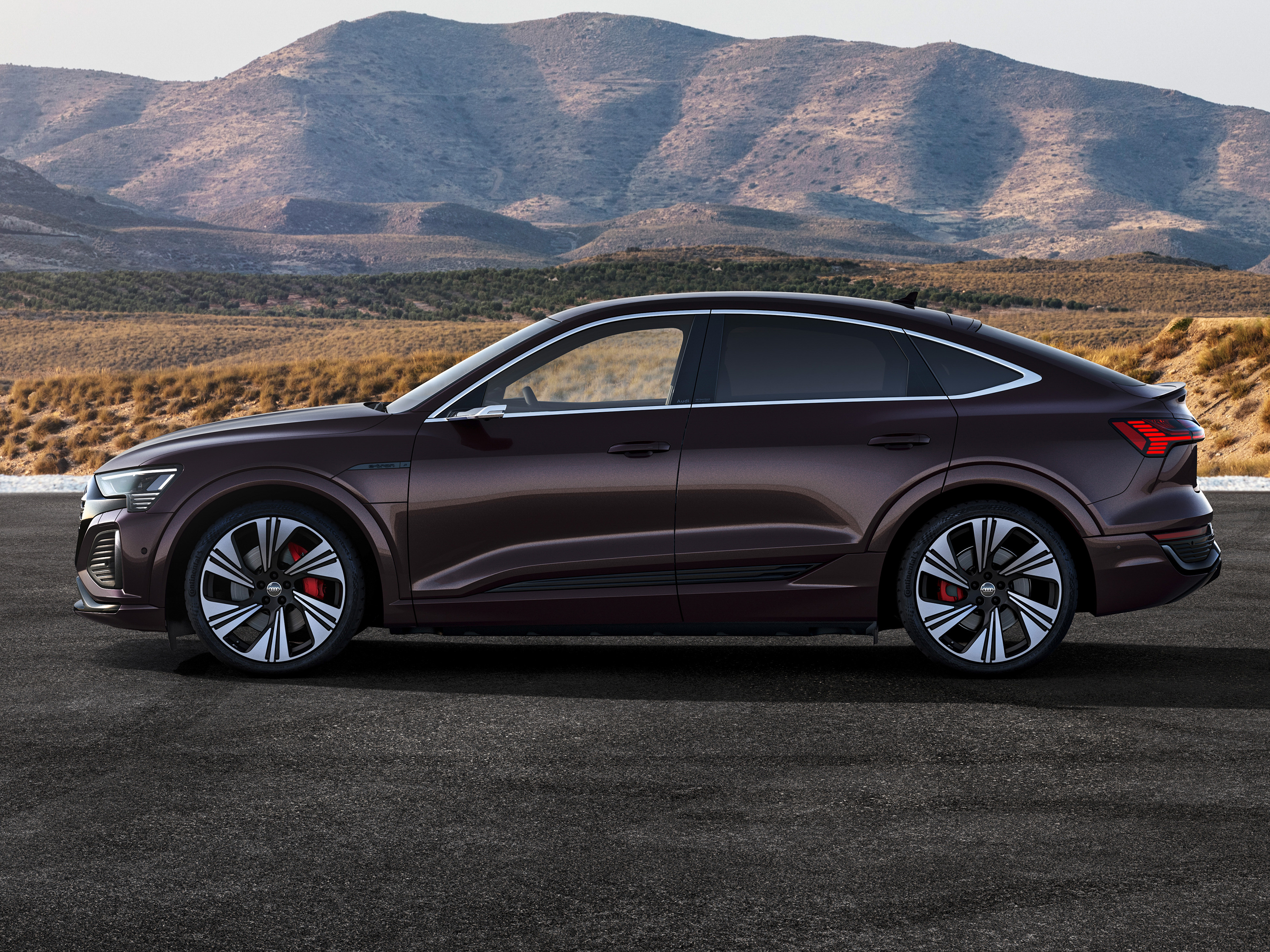 Audi e tron q8 store