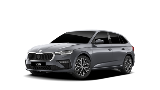 Cochesur - Concesionario Skoda, Livan, DFSK y BAIC