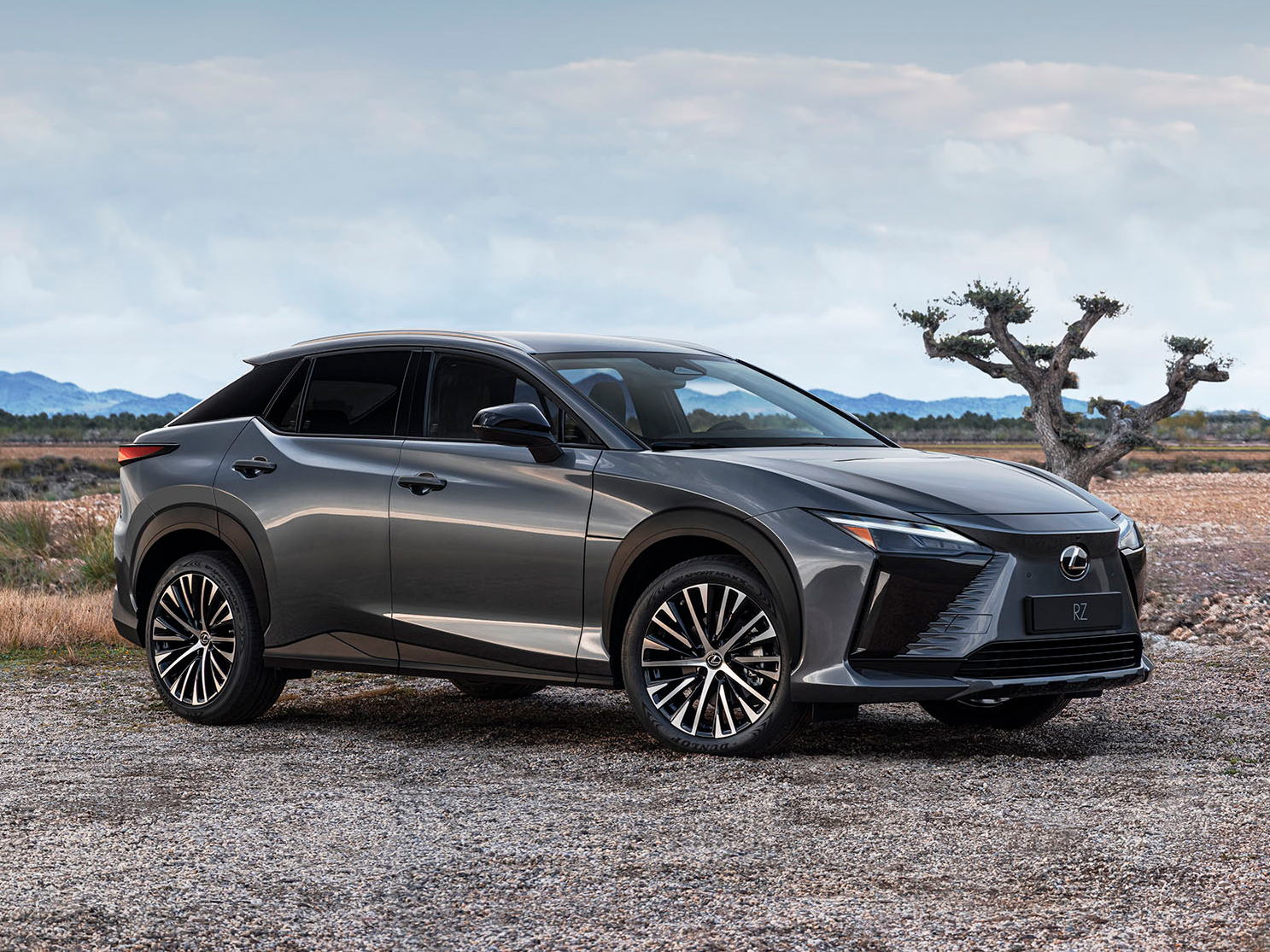 Gruppo GE, concessionaria ufficiale Lexus, configura la tua nuovissima ...